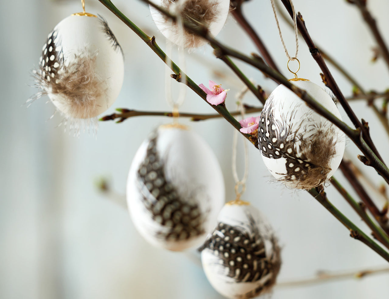 DIY ophæng med fjer – DAVA Shop